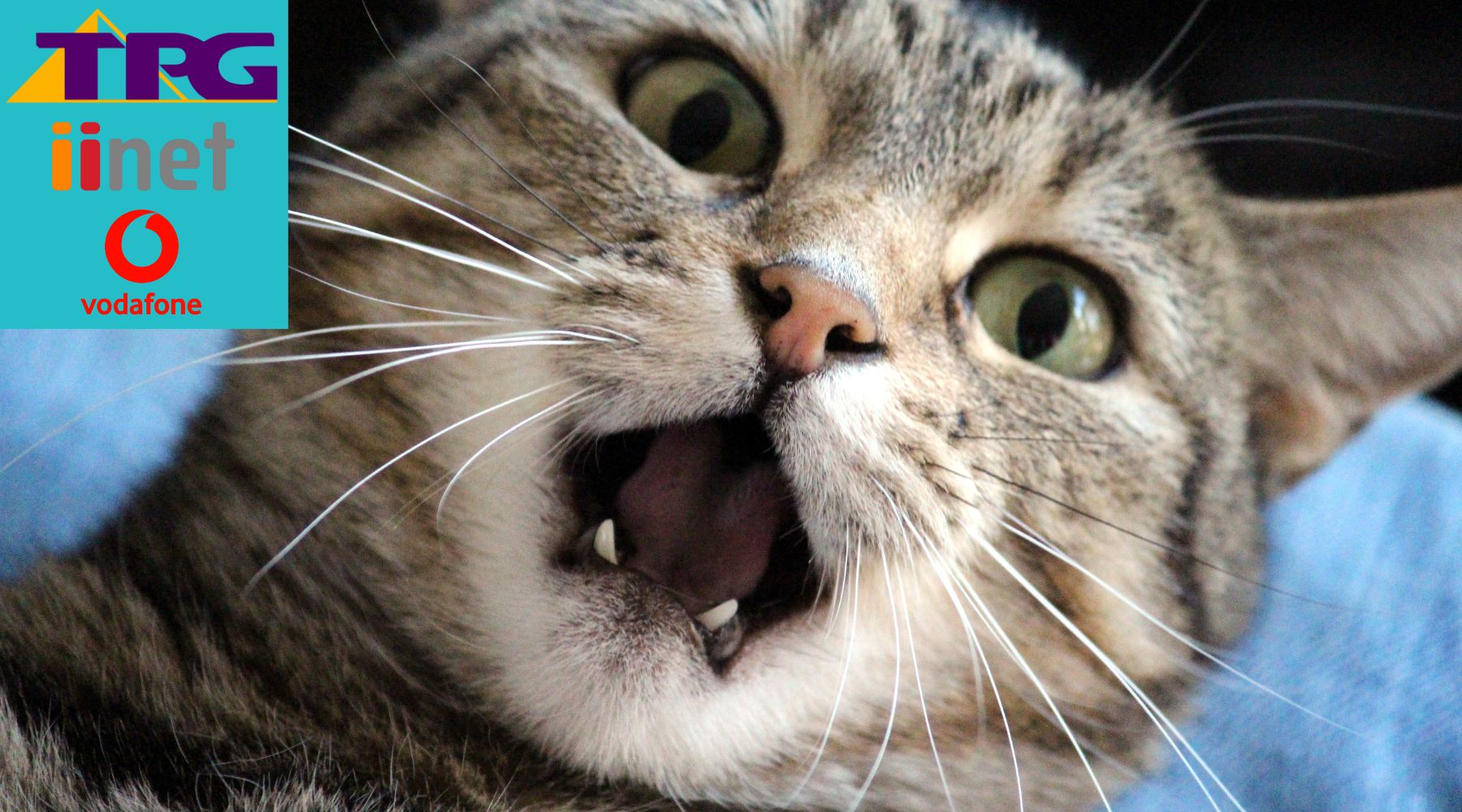 Vodafone, TPG and iiNet raise NBN prices - still worth it?