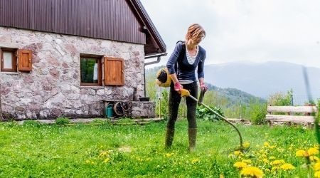 9 best whipper snippers in Australia 2026: From $185 | Finder Shopping