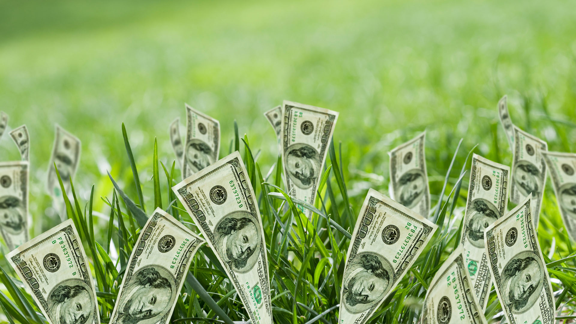 How to Invest $20K: 8 Ways to Maximize Earnings