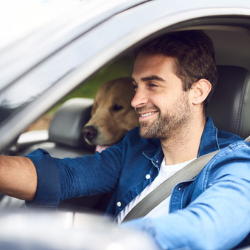 Courtesy car insurance cover: A definitive guide | Finder UK