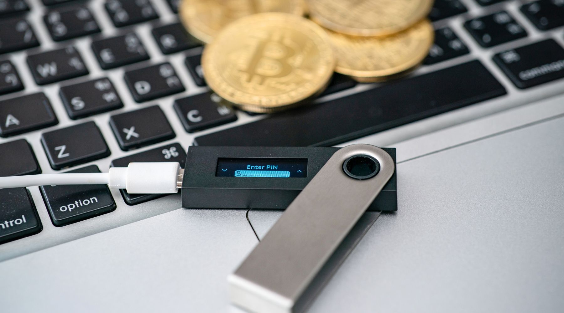 The 7 Best Cold Wallets in Canada | Finder