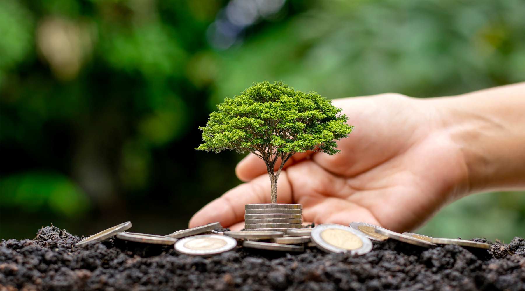 Guide to GICs in Canada—How GICs Help Savings Grow | Finder